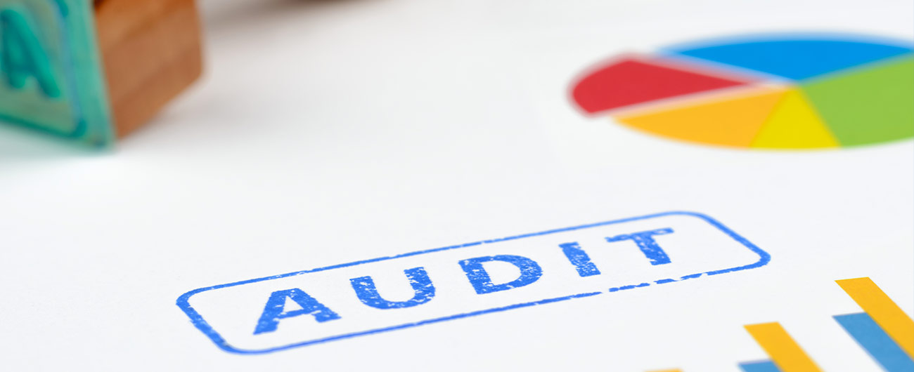 WHS Auditing - HealthCorp